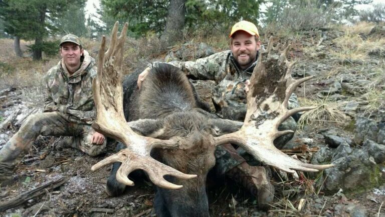Best Moose Hunting Trips and Outfitters | Infinity Hunts