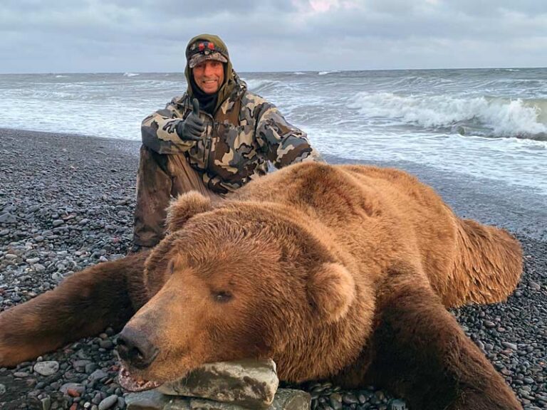 Best Trophy Bear Hunts in USA and Canada | Infinity Hunts